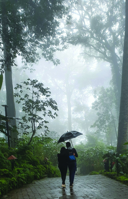 आम्हाला अजून तरूण ठेवणारा… गारवा! – मार्मिक